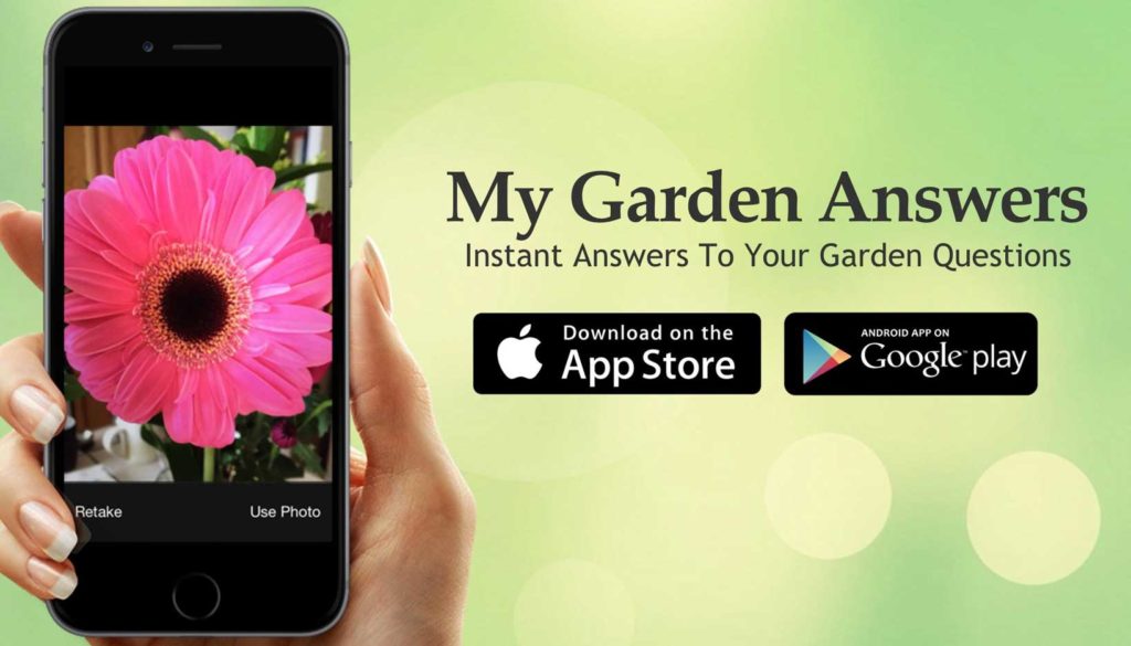 Must-Have Gardening Apps - Grow it! Garden and Plant Care
